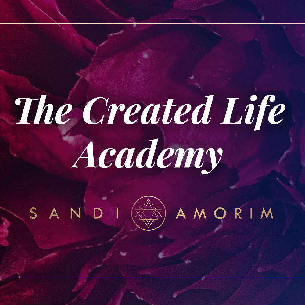 Created Life Academy – Take back your freedom + power to create!